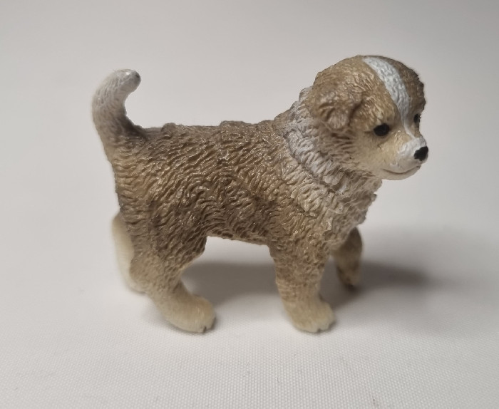 Australian Shepherd valp 16393 :: SamlaSchleich.se